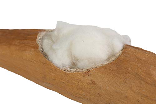 Penn-Plax Kapok Pod for Birds and Small Animals – Meets and Satisfies The Various Chewing and Nesting Needs of Tiny Critters