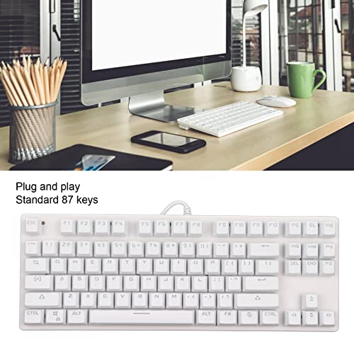 Acogedor Mechanical Keyboard, 87 Keys RGB Backlit Blue Switch Gaming Keyboard with 9 Lighting Modes for Computer Gaming Lovers, Plug and Play