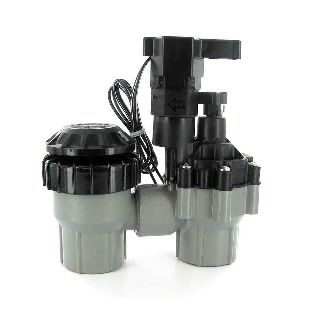 Rainbird Plastic ASVF Series Electric Valve with Flow Control and Atmospheric Backflow Preventer, 1"/24 VAC
