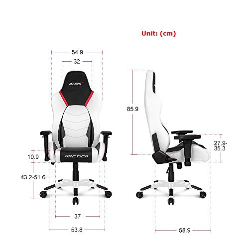 AKRacing Masters Series Premium Gaming Chair with High Backrest, Recliner, Swivel, Tilt, Rocker and Seat Height Adjustment Mechanisms with 5/10 Warranty