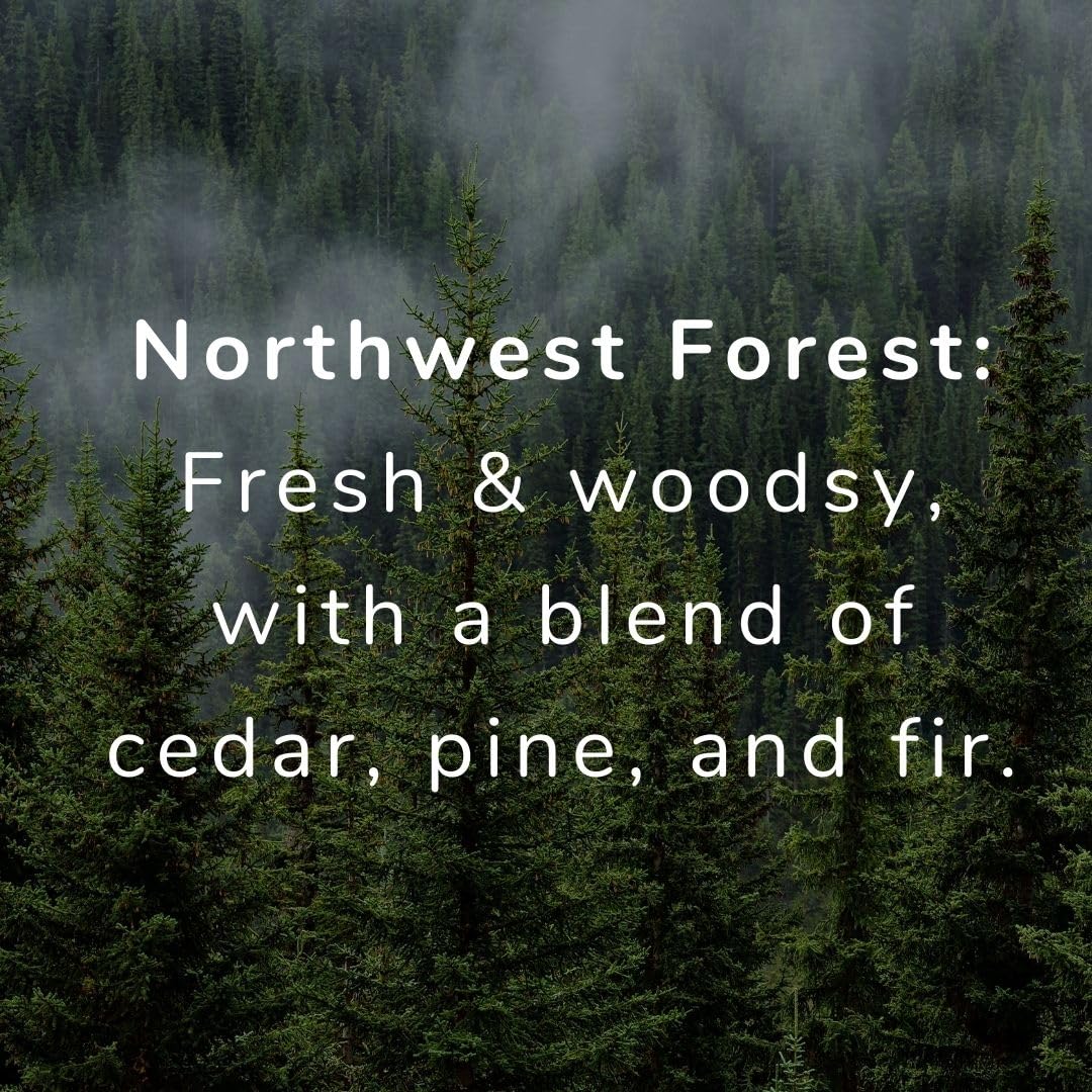American Ostrich Farms Beard Oil& Conditioning Style Aid, Northwest Forest