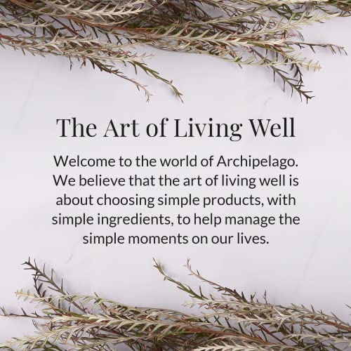 Archipelago Botanicals Holiday Spice 3-Wick Boxed Candle | Ground Cinnamon Bark, Clove and Orange |Premium Wax and Triple Wicks | Burns 120 Hours (49.6 oz)
