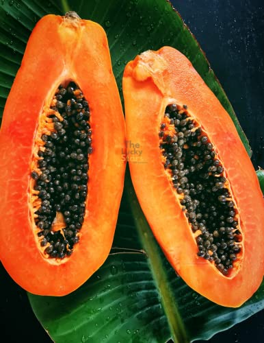60 Mexican Papaya Seeds - Hat Du Du - Carica Papaya Seeds, Papaya, Pawpaw, Asimina triloba | Non GMO | Organic | Heirloom