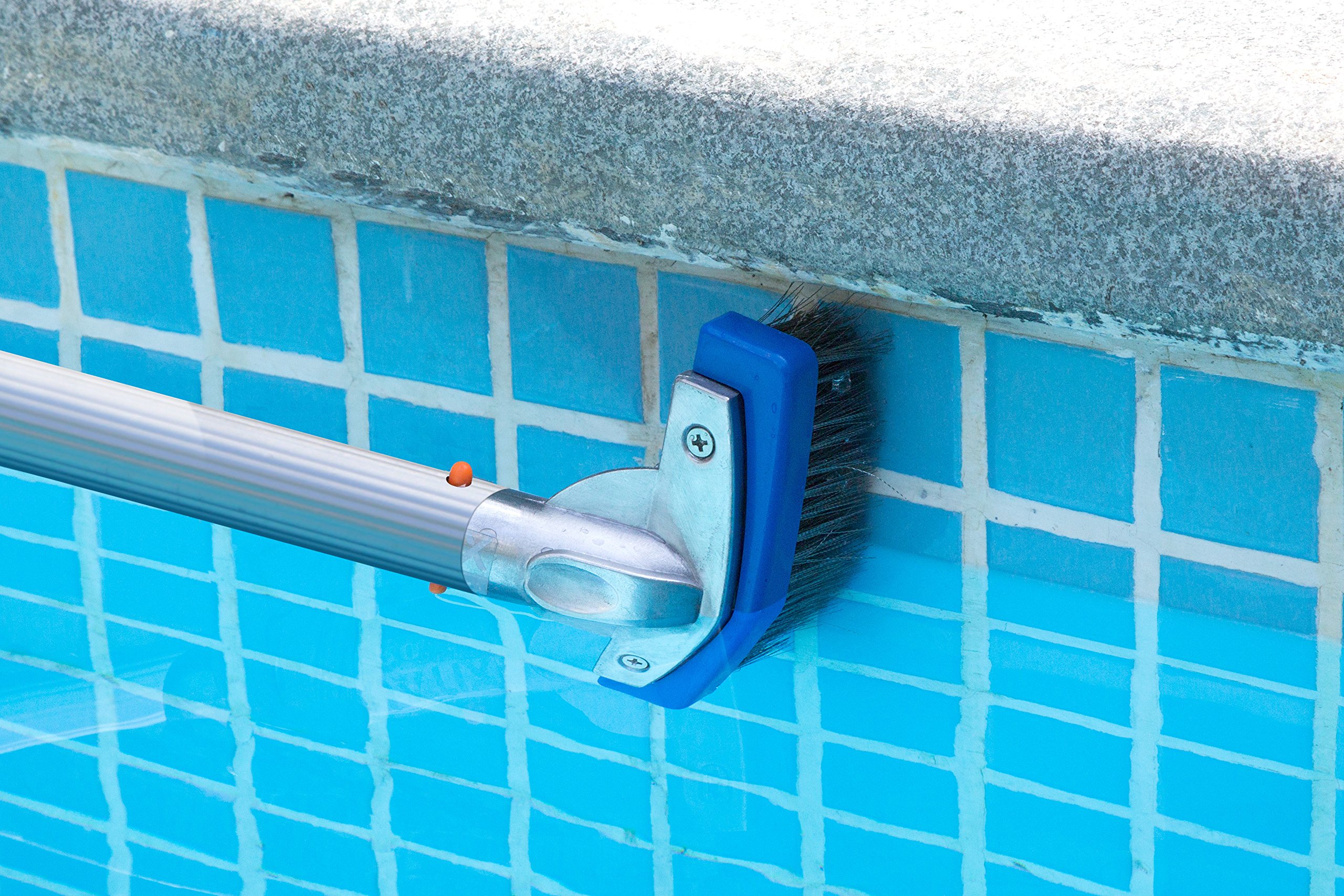 Aquatix Pro Heavy Duty Pool Brush, Durable 5" Swimming Pool Cleaner Brush Best for Tackling Stubborn Stains, Aluminium Handle & Stainless Steel Bristles, Suitable for Concrete & Gunite Pools.
