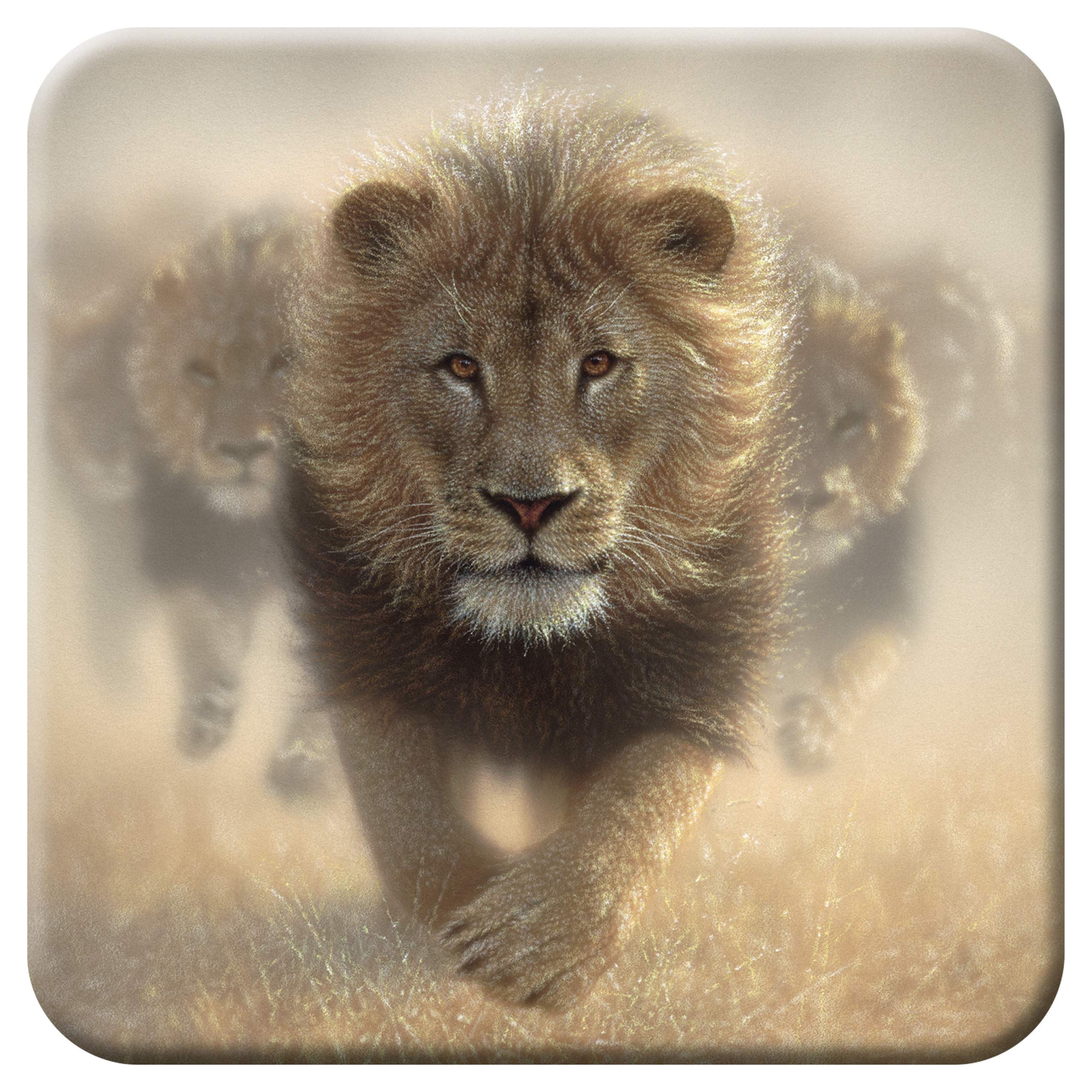 3D LiveLife Cork Coaster - Eat My Dust from Deluxebase. Lenticular 3D Cork Lion Coaster. Non-slip drink Coaster with original artwork licensed from renowned artist, Collin Bogle