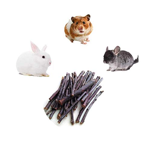 Z-TON Apple Sticks Pet Chew Toys for Chinchillas Guinea Pigs Rabbits Small Animals (100g)