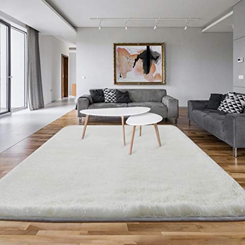 Asvin 5x7 Area Rug, Fluffy Living Room Area Rug, Luxury Large Area Rug, Non-Skid Fleece Carpets for Bedroom Home Décor, Soft Plush Furry Rug for Kids Room, Washable Floor Rug (5x7 Feet, White)