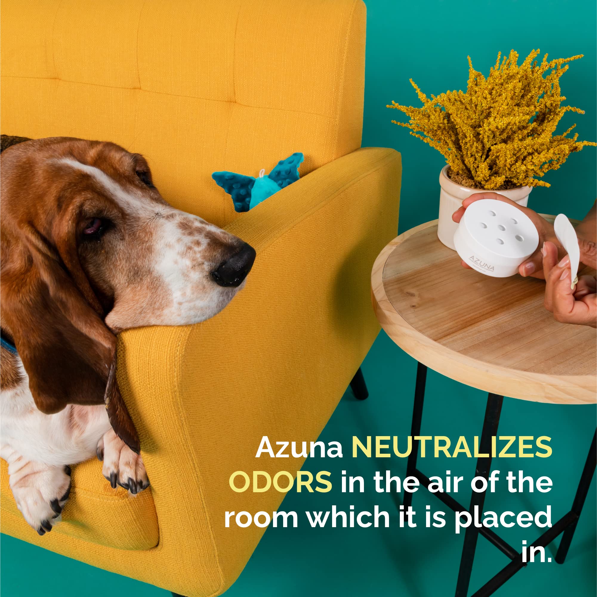 Azuna All-Natural Odor Remover Gel, Premium Whole-Home Kit | Air Purifier with Tea Tree Oil | Plant-Based & Long Lasting | For Pet Odors, Smoke & Strong Odors | Variety Pack