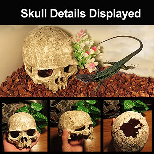 Tfwadmx Aquarium Skull Decor, Resin Fish Tank Decorations Cave Betta Fish Hiedout Reptile House for Small Fish,Shrimp