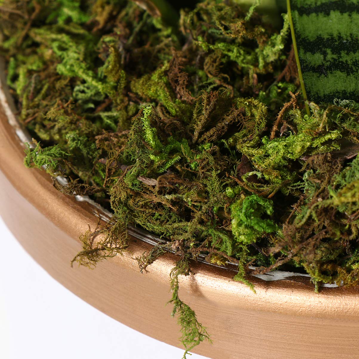 BESPORTBLE 1 Packs Artificial Moss for Plants Flowers Lichen Simulation Fake Green Plants for Home Garden Patio Decoration ( About 60g )