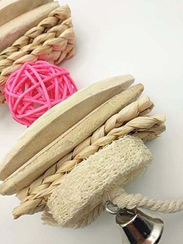 Hypeety Bird Parrot Cuttlebone Toy Bird Chew Toy Colorful Rattan Ball Toy Safe and Fun for African Grey, Amazon Conure Cockatoo Macaw Cockatiel