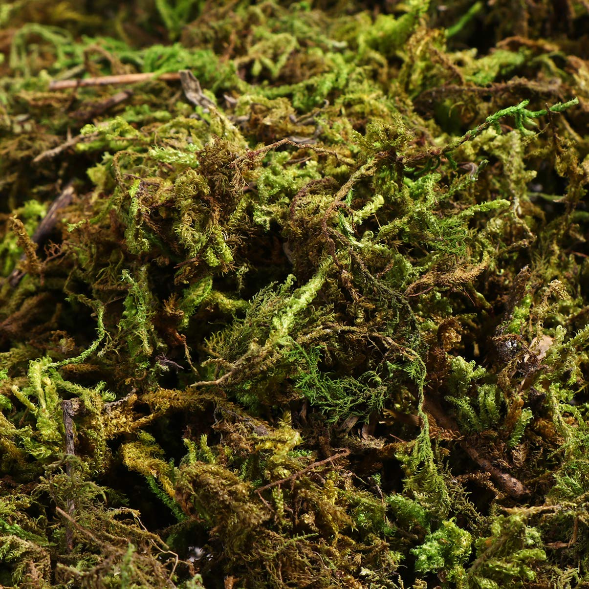 BESPORTBLE Moss Lifelike Artificial Green Moss for Flower Plant Garden Lawn Crafts Home Decoration