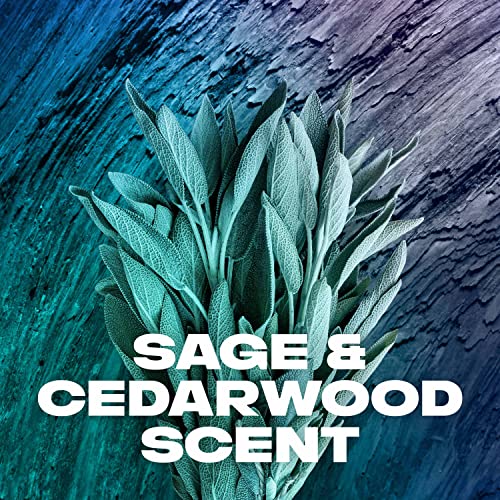 AXE Apollo Deodorant Spray 48 Hour Odor Protection Fresh Sage and Cedarwood Deodorant without Aluminum and without Residue, 4 Ounce (Pack of 4)