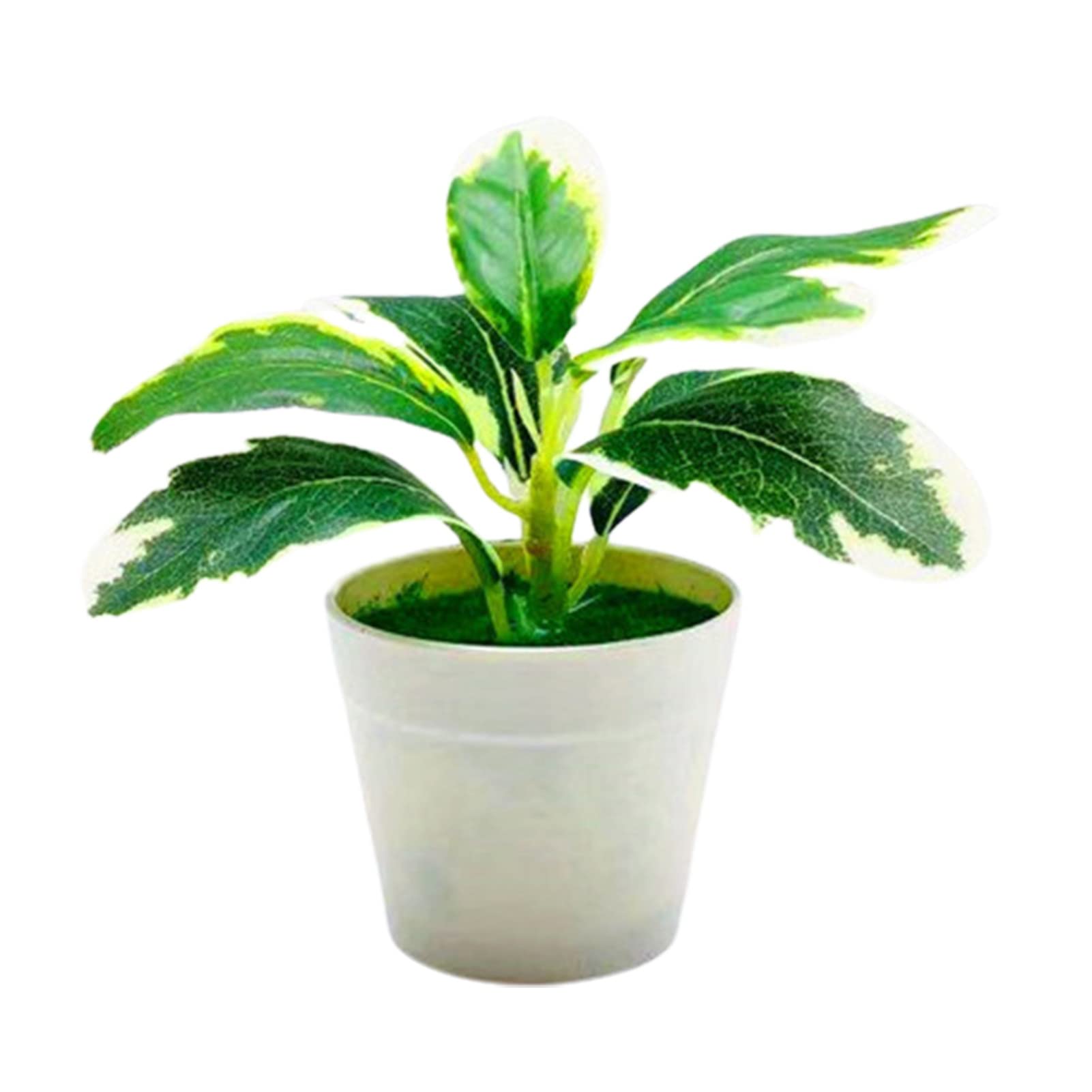 Angel3292 Artificial Potted Plant Realistic Plastic Eye-Catching Imitative Bonsai Plants for Home Potted Plant Delicate for Garden