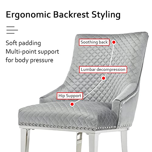 Anewsun Modern Dining Chairs, Light Grey Velvet Upholstered Dining Room Chair with Silver Mirrored Stainless Steel Legs, Set of 2