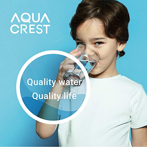AQUACREST FQK2J Under Sink Water Filter, Replacement for GE FQK2J, FQK1K, 1320 Gallons Dual Flow Drinking Water Replacement Filters (2 Count)