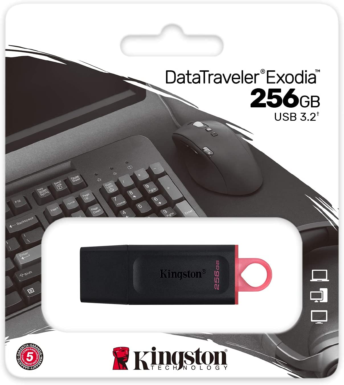 Kingston 256GB Flash Drive DataTraveler Exodia USB 3.2 High Speed 100MB/s USB for Computer (DTX/256GB) Bundle with 1 Everything But Stromboli Lanyard