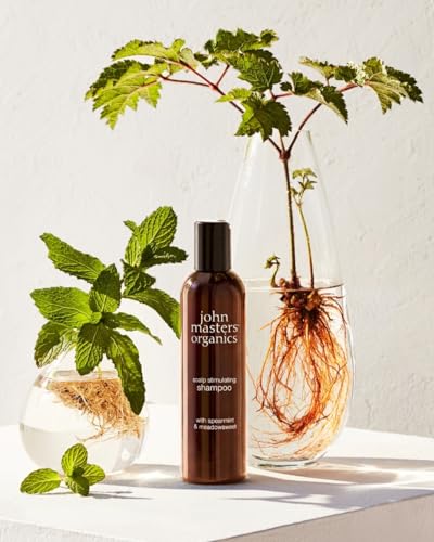 John Masters Organics Scalp Stimulating Shampoo 16 oz | Organic Spearmint & Meadowsweet | 70% Organic Ingredients | Clarifying Shampoo | Improve Scalp Health | Sulfate-free, 16 Fl Oz