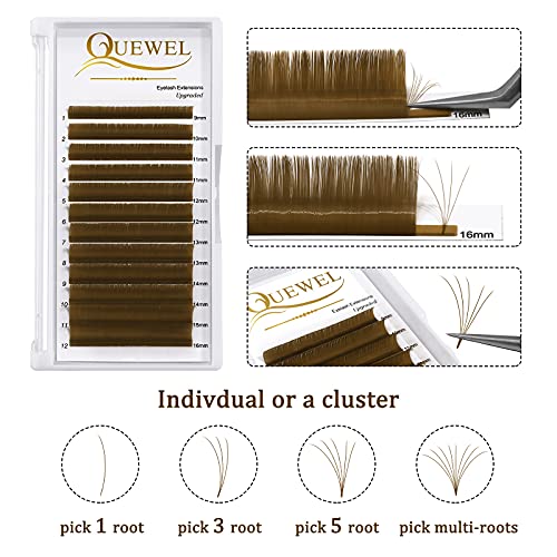 Easy Fan Volume Lashes .07 D Curl Brown Volume Lash Extensions 9-16mm Mixed Lash Tray Color Lashes Extension Self Fanning 2D-10D Volume Eyelash Extensions by QUEWEL (Brown 0.07 D 9-16mm)