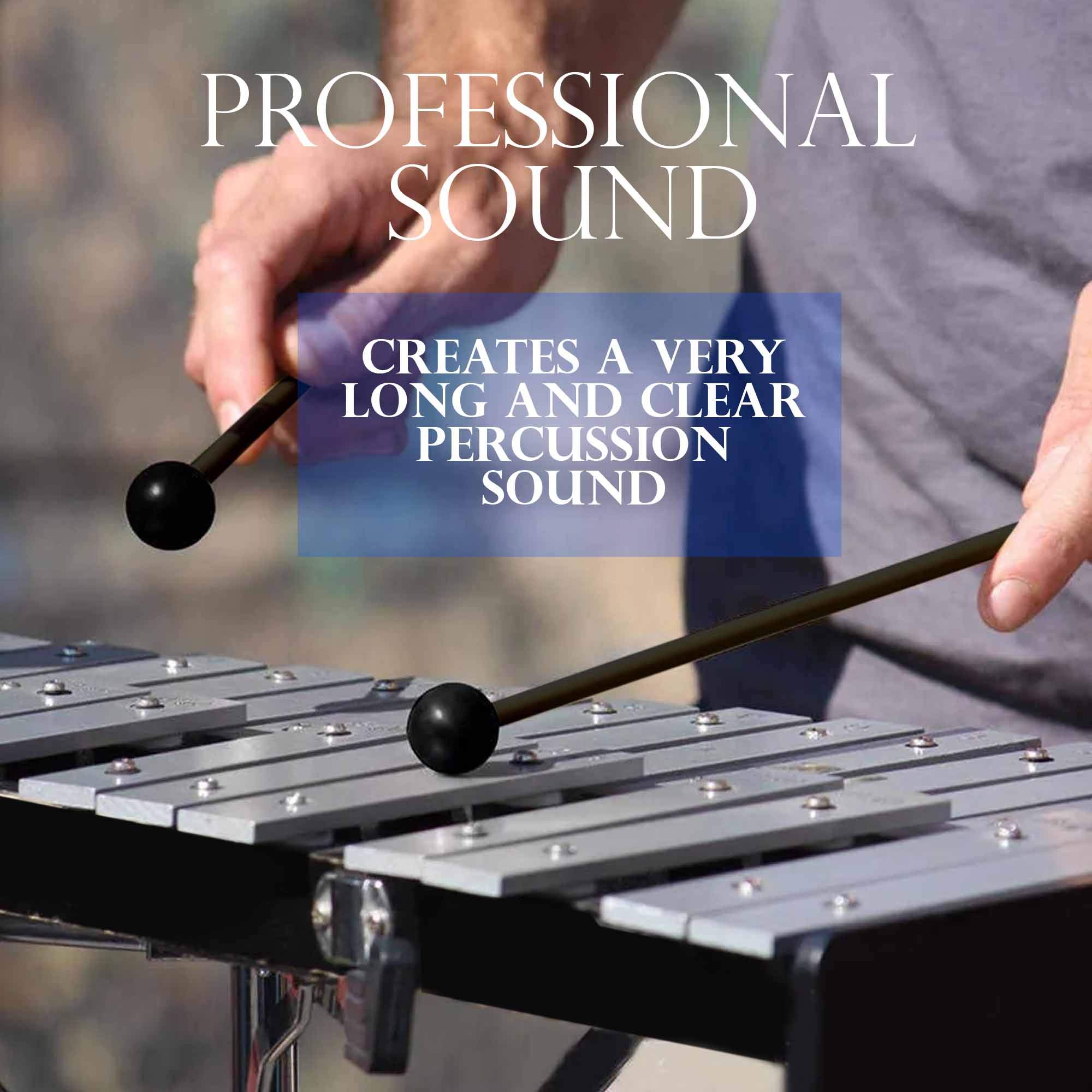 30 Keys Professional Glockenspiel - Metal Bell Kit Xylophone with Stand, Note Holder, Carrying Bag, and 2 Mallets