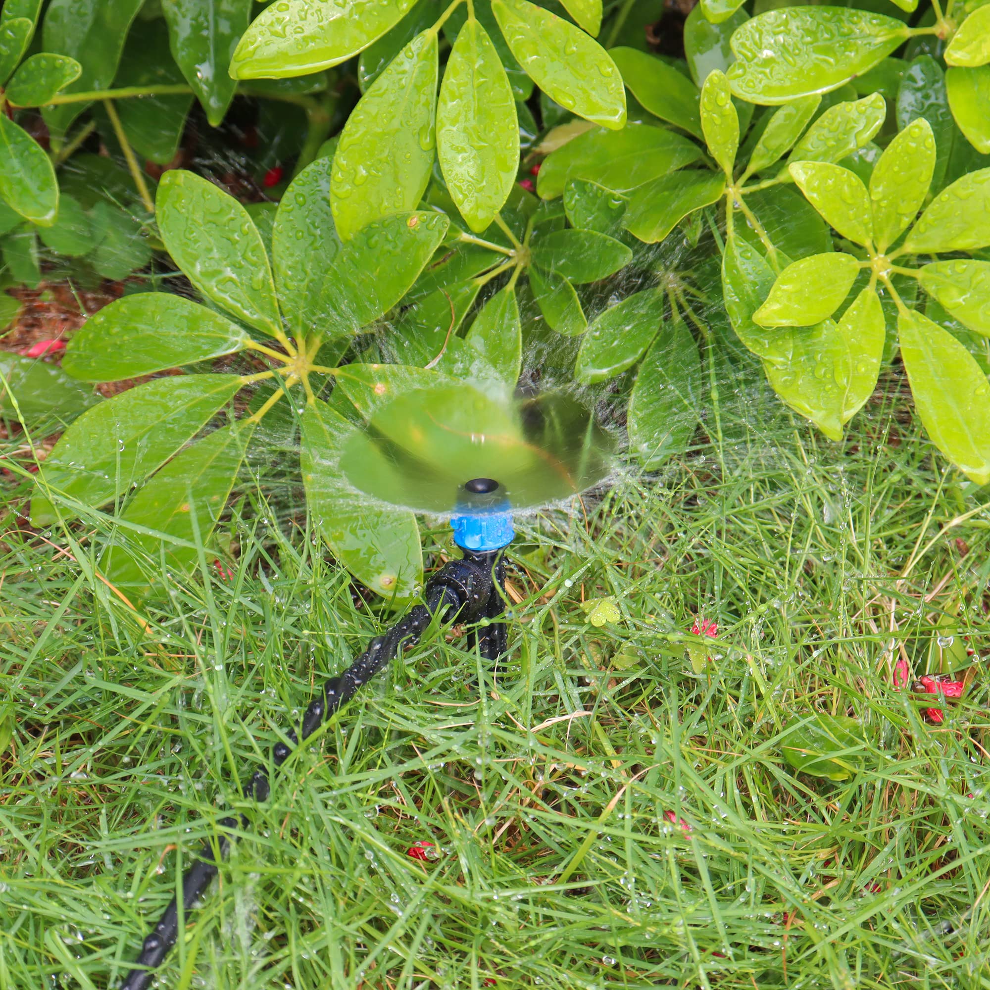30PCS Easy-Connect Drip Irrigation Emitters Fan Shape for 1/4 inch Irrigation Tubing, Adjustable Water Flow Drip Emitters with Stake