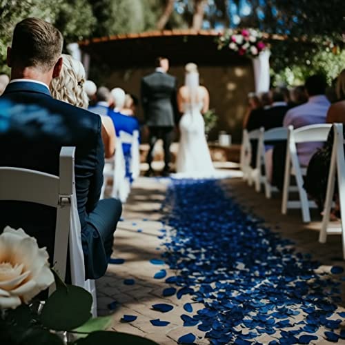 Aldeepo 1000 Pcs Artificial Rose Petals for Romantic Night, Fake Rose Flower Petals for Wedding, Party, Valentines Day Decorations for The Home (Blue)