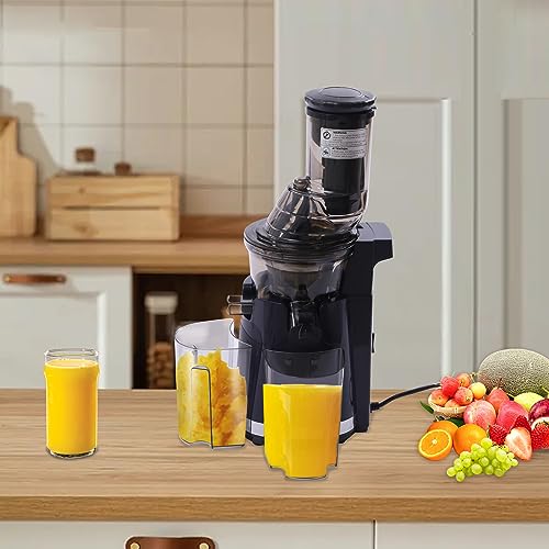 awolsrgiop Juicer Machine, 250W Masticating Juicer Cold Press Slow Juicer Extractor for Home Juicer Machines for Nutrient Fruits Quiet Kitchen Double Slots Stainless Steel High Juice Yield Low Noise