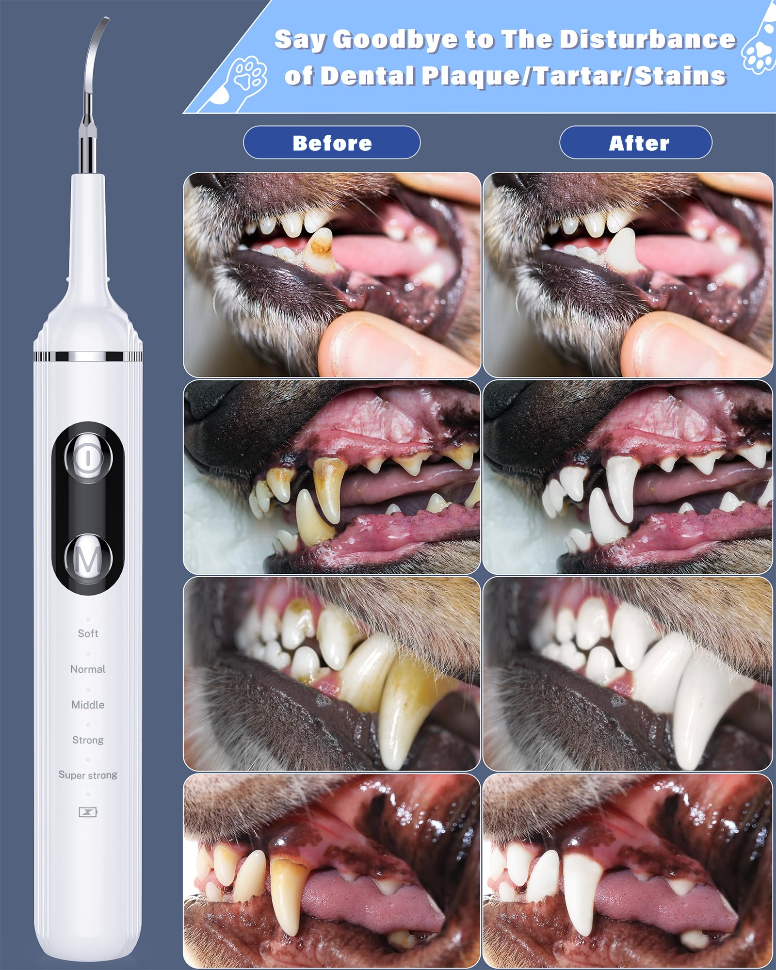 NATURE NERDS Plaque Remover for Teeth, Pet Tooth Brushing Kit, Dental Tools to Remove Plaque and Tartar, Safe for Dog and Cat, with LED Light, White