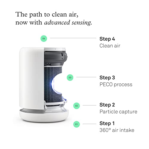 Molekule PECO-HEPA Tri-Power Filter Air Mini and Mini+ | Air Purifier Replacement Filters with PECO and HEPA Technology, Eliminates Smoke, Mold, Bacteria & Other Pollutants for Clean Air - Gray