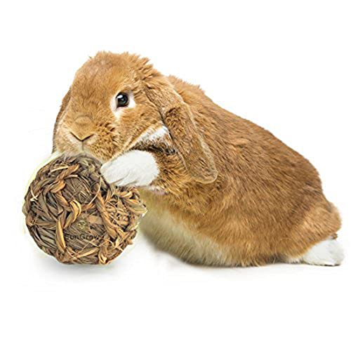 SunGrow Seagrass Balls for Rabbit, for Pet’s Gums & Teeth, Chewable Teething Activity Toy for Gerbils, Guinea Pig, Dwarf Bunny, 1 Pc