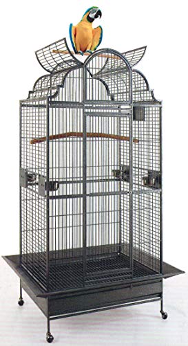 New Large Elegant Wrought Iron Dome Play Top Bird Parrot Cage, Include Metal Seed Guard Solid Metal Feeder Nest Doors (24" W x 22" D x 63" H, Black Vein)