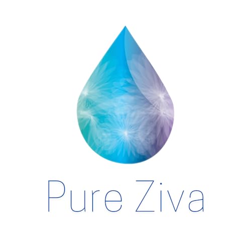 Pure Ziva Black Matte Opaque Smokey Eye Onyx Midnight Zero Jet Black Pressed Powder Single Vegan Eyeshadow; Talc, Paraben & Cruelty Free