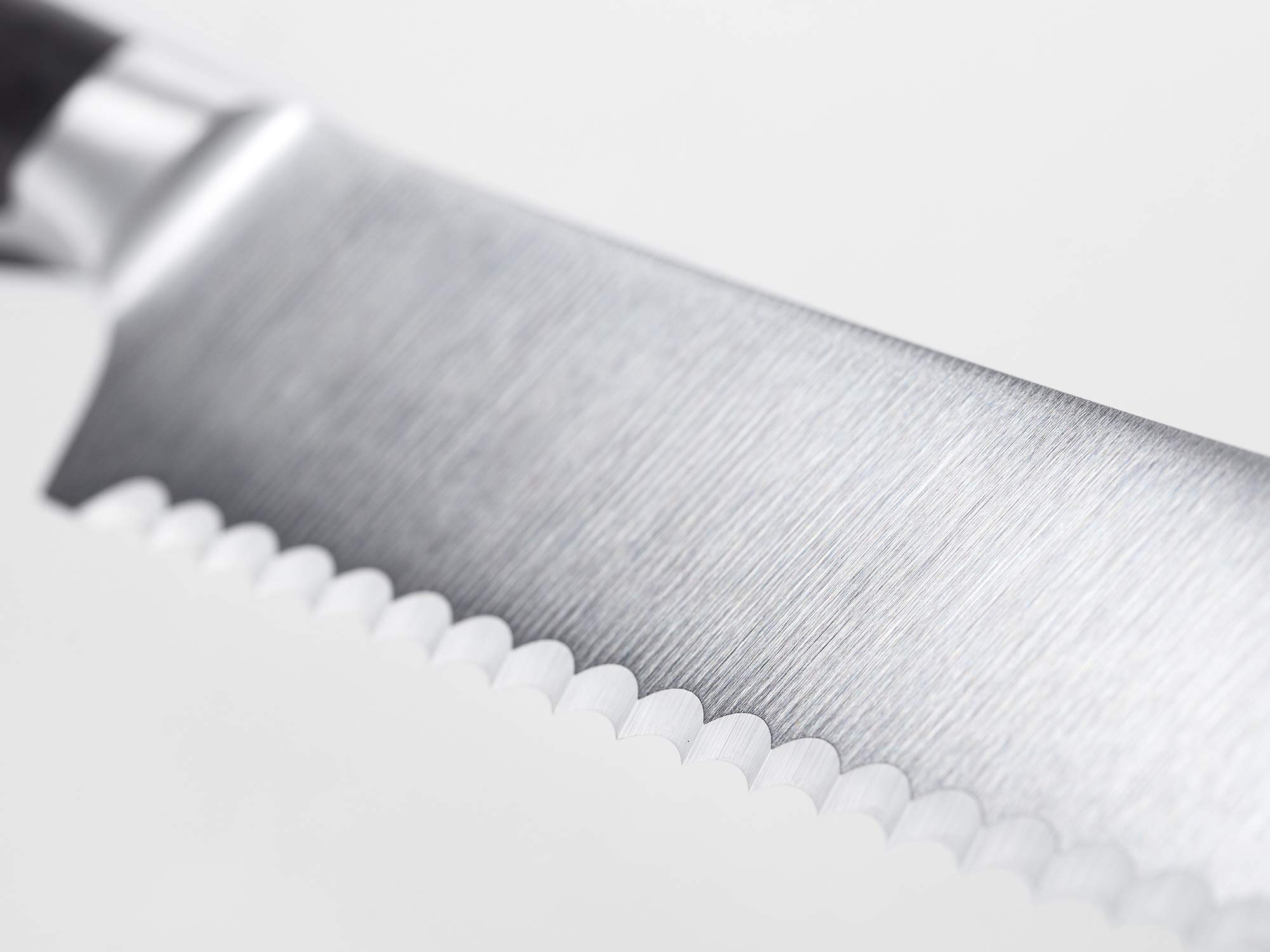WÜSTHOF IKON Blackwood 8" Bread Knife