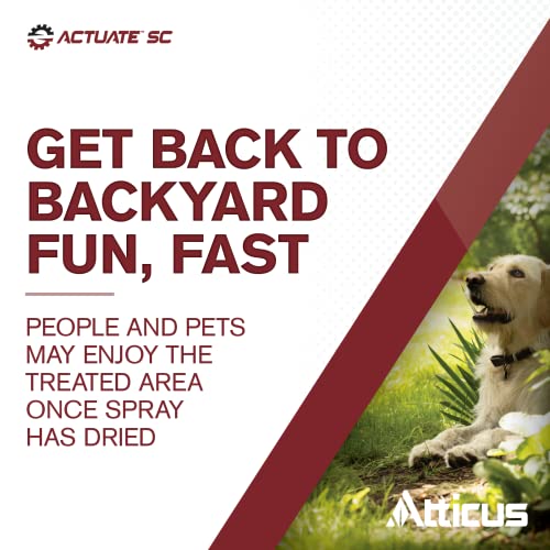 Actuate SC Bifenazate Miticide (8 oz) by Atticus (Compare to Floramite) β Long Lasting Mite Control in Interior and Exterior Landscapes