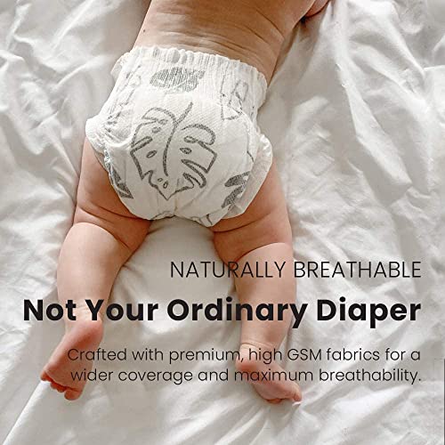 PARASOL Clear+Dry Disposable Diapers | RashShield Protection, Leakproof Design, Hypoallergenic Diaper Set | Size 2 (10-18 lbs) 144 Count
