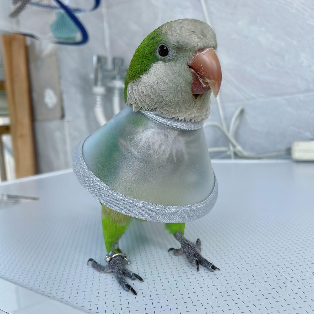 Adjustable Parrot Cone Collar, Safe and Practical Cotton Collar to Prevent Bites and Licking Wounds, to Help heal (2M)
