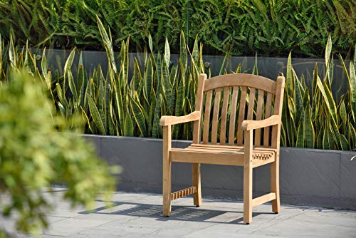 Amazonia Newcastle 9-Piece Outdoor Rectangular Dining Table Set | Certified Teak | Ideal for Patio and Indoors, Light Brown