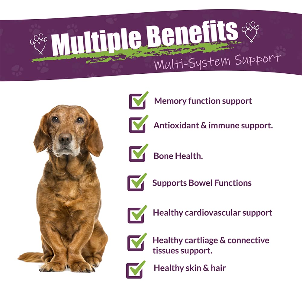 Amber NaturalZ Carticil Plus Herbal Supplement for Dogs | Multi System Support is a Blend for Digestive, Respiratory, and Cardiovascular Health | 60-Day Medium Dog Supply | Manufactured in The USA