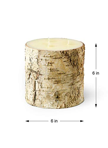Serene Spaces Living Birch Bark Candle β Pillar Style Candle Brings Nature Indoors, Ideal for Weddings, Parties, Events, Restaurants, Home Decor, 6" in Diameter & 6" Tall
