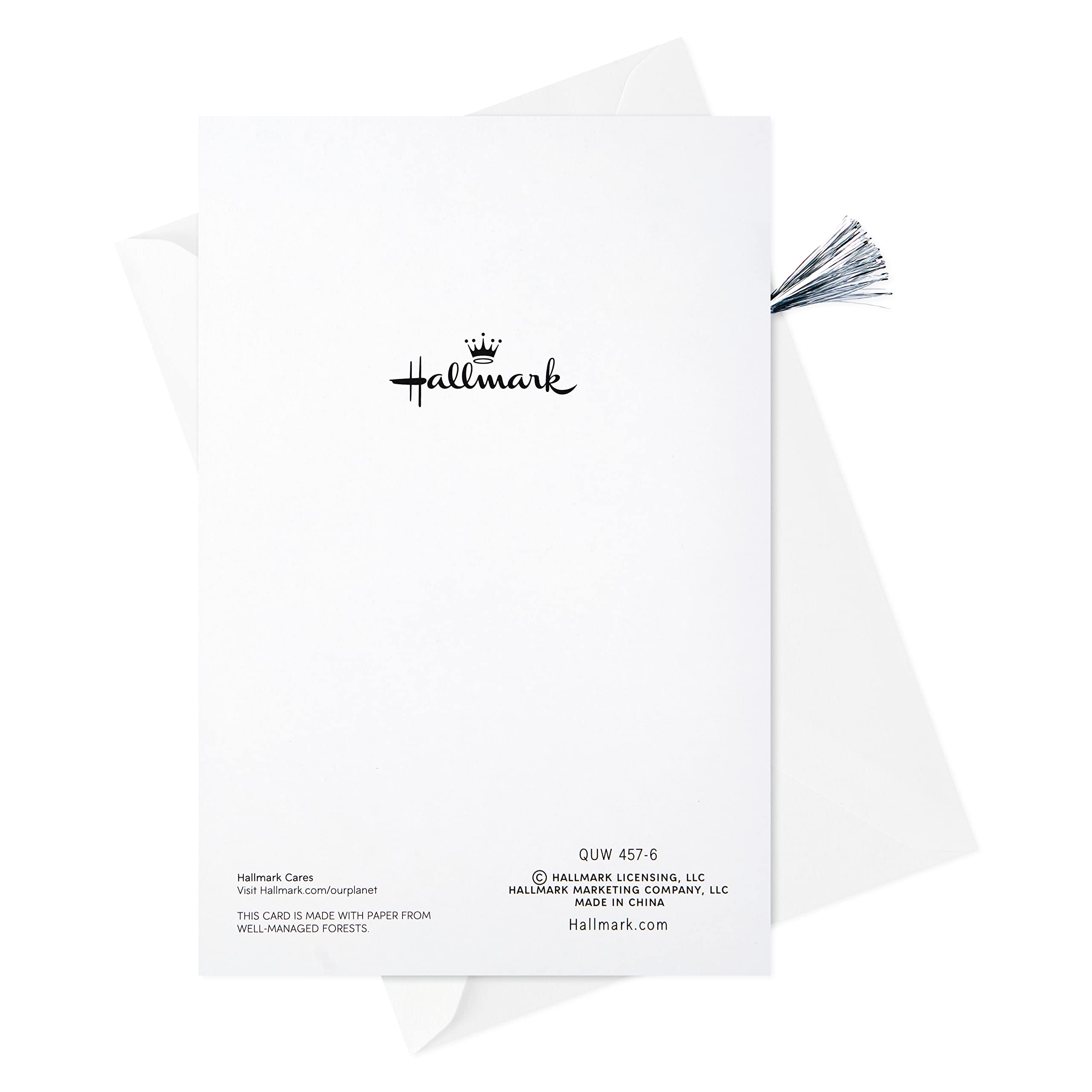 Hallmark Wedding Card, Bridal Shower Card, Engagement Card (Champagne Flutes)