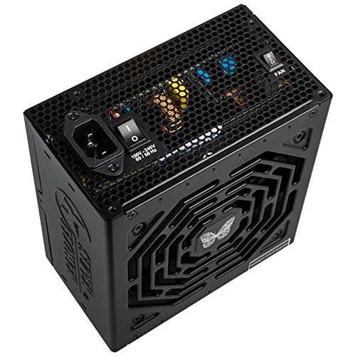 Super Flower Leadex III Gold 550W 80+ Gold, ECO Fanless & Silent Mode, Full Modular Power Supply, Fluid Dynamic Bearing Fan,10 Year Warranty,SF-550F14HG (550W)