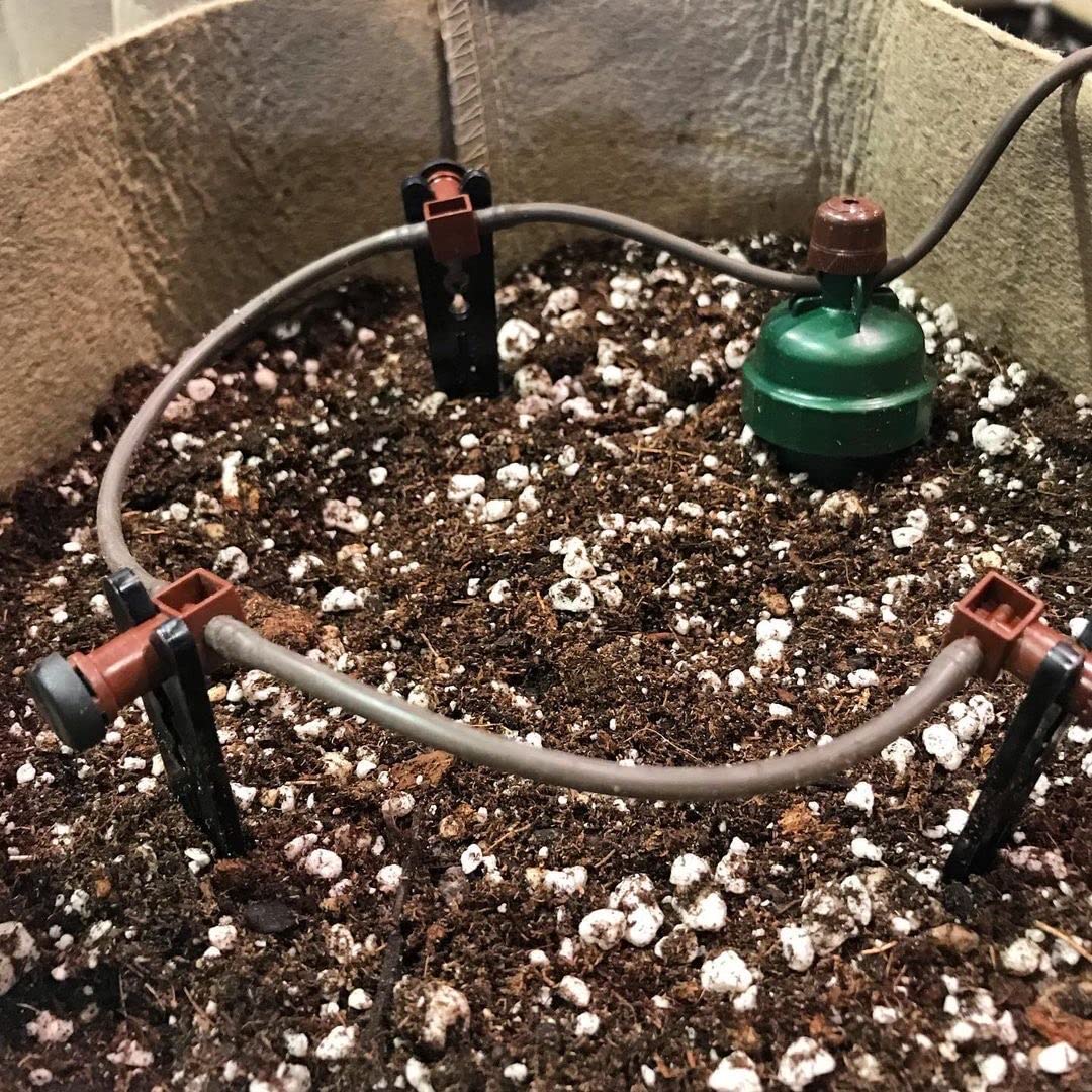 Blumat 50 Distributor Drippers with 10 End Pieces to Attach to Watering System Parts | Water Evenly Garden, Balcony Plants (50 Pieces, 10 End Pieces)
