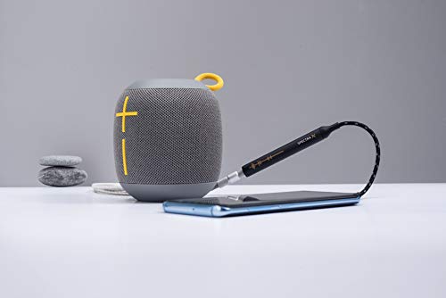 NEXTDRIVE Spectra Portable USB DAC - The World’s Smallest 32-bit DAC Headphone Amp for Truly Mastering Your Sound On-The-Go (Spectra X USB C)