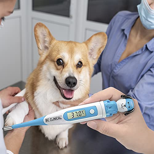 Thermometer for Adults Children Pets, Oral Armpit Rectal, Dog and cat (Frog)