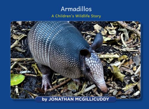 Armadillos: A Children's Wildlife Book