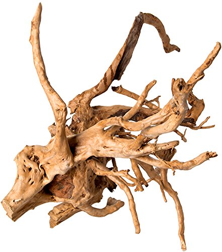 Galapagos (05319) Spider Wood, Natural, 12 - 24"