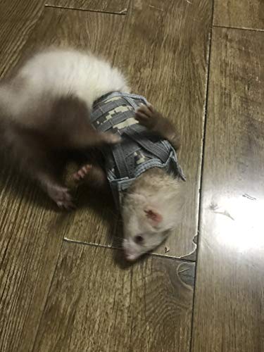 Ferret Clothes Small Animals Harness Military Style Adjustable Shoulder Straps Soft Mesh Comfort Durable Nylon Padded Vest Ferret Guinea Pig Hamster Bunny Kitten Puppy Small Pet Clothes Accessory
