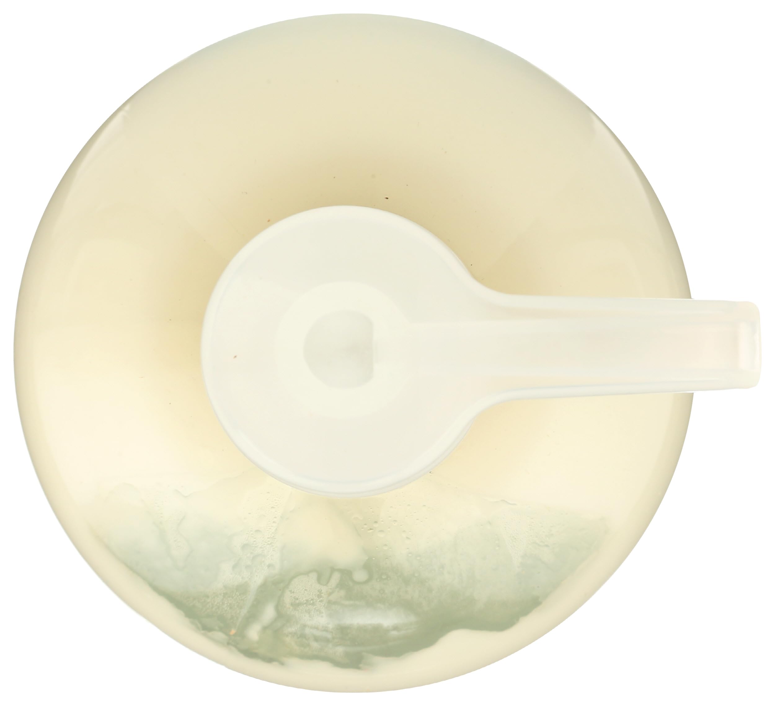 RENPURE Bamboo Coconut Water Conditioner, 24 FZ