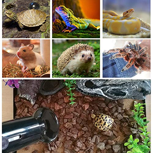 Lucky Farm Reptile Heating Lamp Bulb 2pcs Amphibian Ceramic Infrared Heat Lamp Emitter with no Light for Brooder Chicken Coop ,Hedgehog, Iguana Lizard Bearded Dragon Turtle Snake(Black, 100W)