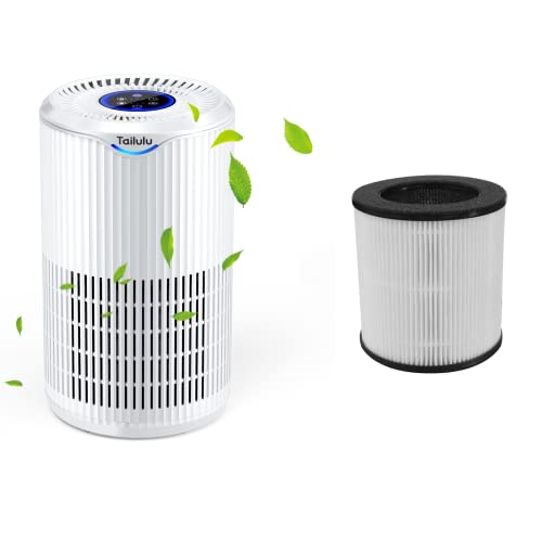 Air Purifiers for Home Large Room Up to 1345 Ft², Tailulu H13 True HEPA Air Filter Purify Smoke Pollen Pet Dander Dust Smell for Bedroom, Kitchen, Air Cleaner with Replacement Filter
